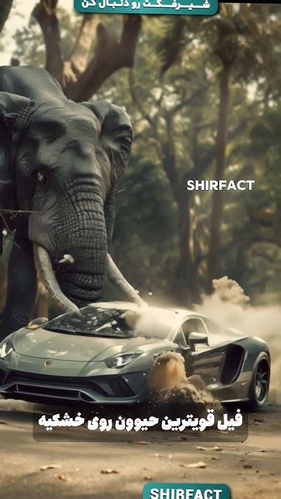 قویترین حیوون دنیا😳باورنکردنیه Youtube