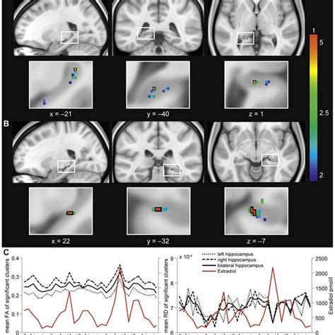 Estrogen Modulated Fa Differences And Time Course Across The Menstrual