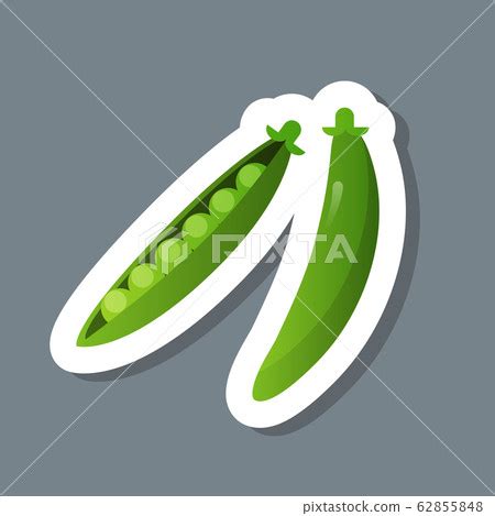 Fresh Green Pea Pod With Beans Sticker Tasty Stock Illustration