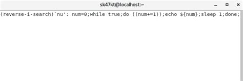 Linux Bashshell 1 기본
