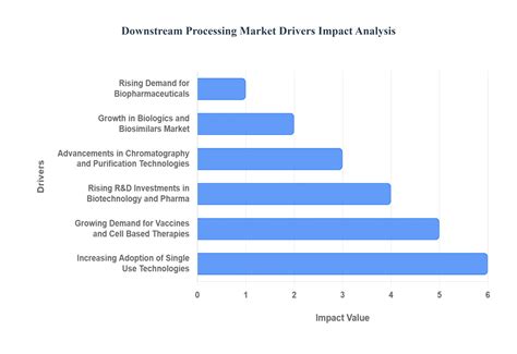 Downstream Processing Market Report Size Growth Trends And Forecast