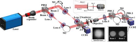 Dual Polarization Speckle Detection Setup For Ame Measurement Download Scientific Diagram