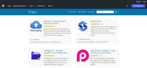 Why Should You Use Plugins With Your Wordpress Website Backuply