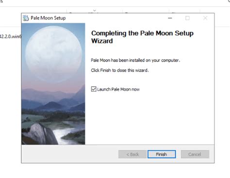 Pale Moon Browser Complete Review And Guide Update