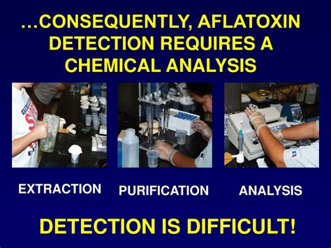 Ppt Aflatoxin Contamination Occurrence And Management Powerpoint Presentation Id3770672