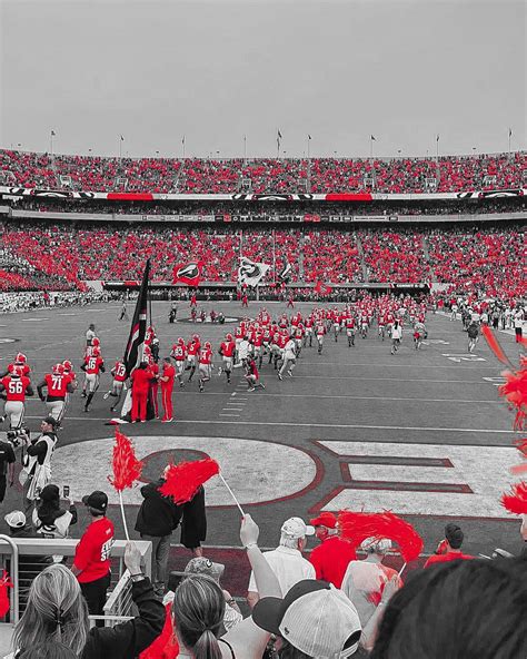 Ethan Wright Ethanwrighttv • Instagram Photos And Videos