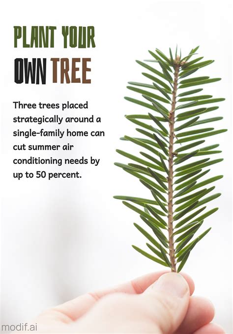 Tree Planting Poster Template Mediamodifier