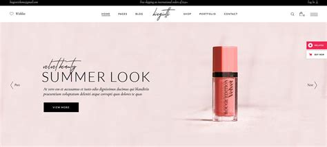 Выбираем лучший шаблон интернет магазина Wordpress