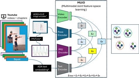Wearable Based Behaviour Interpolation For Semi Supervised Human Activity Recognition AI