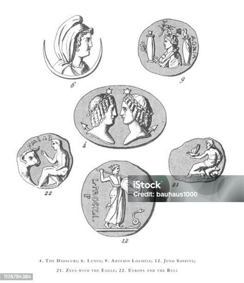 디오스큐리 룬누스 아르테미스 로체타 주노 소스피타 제우스 와 독수리 유로파와 황소 그리스 축제와 신화 인물과 장면 조각 골동품 일러스트 출판 1851 0명에 대한 스톡 벡터