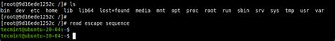 How To Install And Use Docker On Ubuntu
