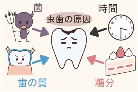 三芳町の歯医者で虫歯の治療と予防なら うららか歯科