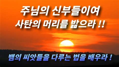 음성있음 🔊🔊엔타임⏱계시묵상 🚩신부들이여 사탄의 머리를 밟으라 ️여자에 대한 사탄의 거짓을 파쇄하라🩸 사탄의 씨에 대항하는 분별과 지혜를 성령께 구하여 마귀를 진리로