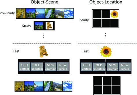 Object Scene And Object Location Memory Tasks In The Object Scene Download Scientific Diagram