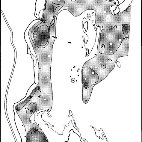 Distribution Of Foraminifera Download Scientific Diagram