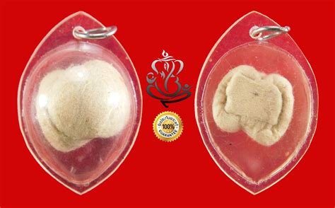 วัตถุมงคล หลวงพ่อฤาษีลิงดำ ณ ซอยสายลม และเกจิทั่วไป เต่าสำลี ครูบาชัยวงษ์ วัดพระบาทห้วยต้ม