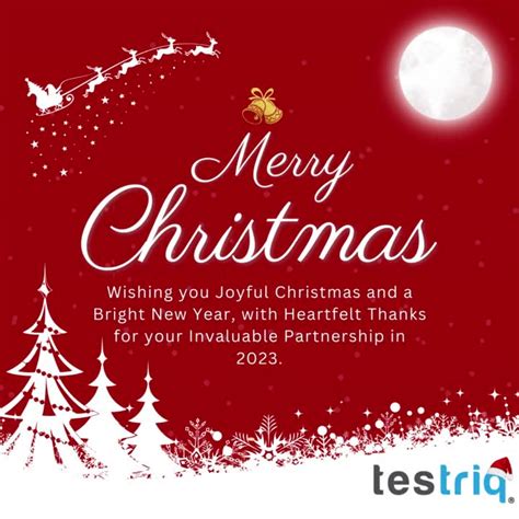 testriq qa lab llp on linkedin christmas festival testriq