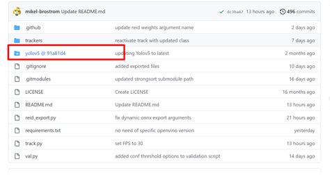 手把手教你搭建yolov5 Strongsort With Osnet环境 Csdn博客