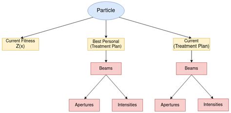 Particle Swarm Optimisation Applied To The Direct Aperture Optimisation