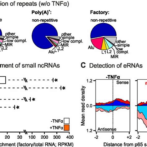 Factory Rna Is Rich In Short Non Coding Transcripts A Pie Charts