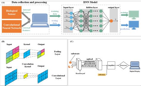 Integration Of Biosensors And Deep Learning For Assessing Food Quality Authorea