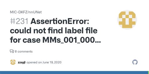 AssertionError Could Not Find Label File For Case MMs Expected File Data NnUNet