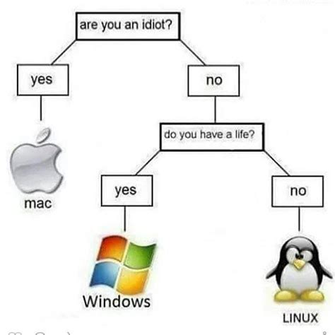 My Life 😂😂 R Linuxmemes