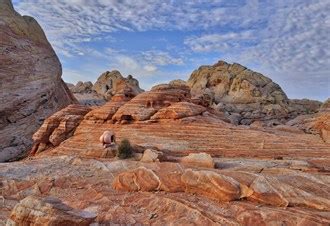 Larry Photography And Nude Art At Model Society