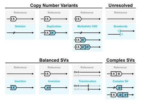 Structural Variant Sv Discovery Gatk