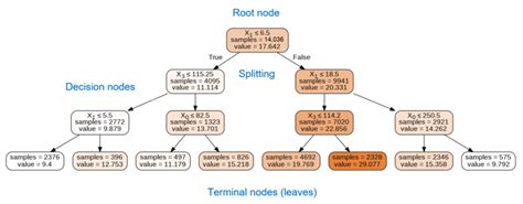 A Small Decision Tree Maximum Depth Is 3 For Vtec Nowcasting 10°10