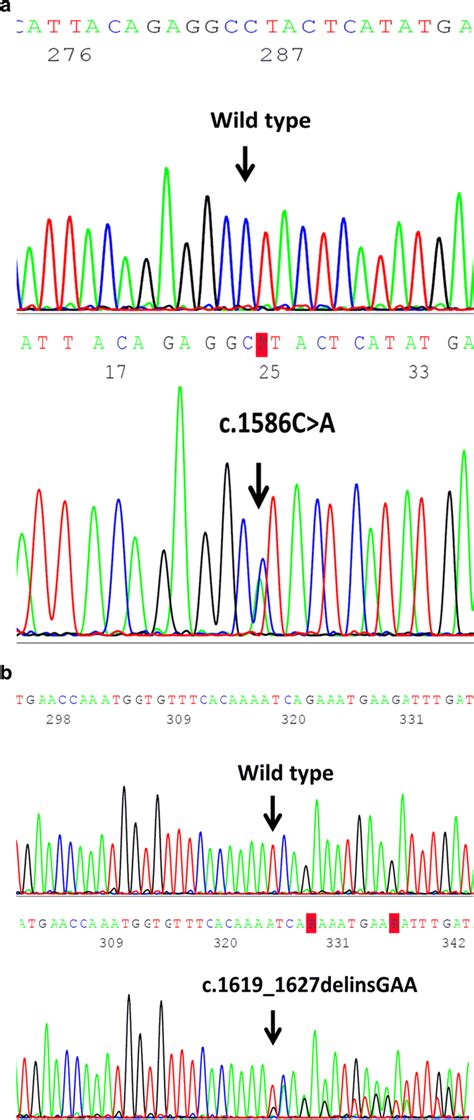 A Missense Substitution C1586c A Pp529h B Complex Insertion