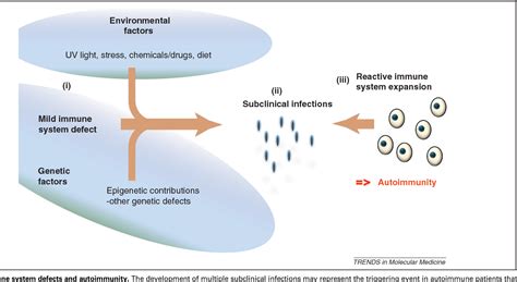 Figure 1 From Immunodeficiency And Autoimmunity Lessons From Systemic