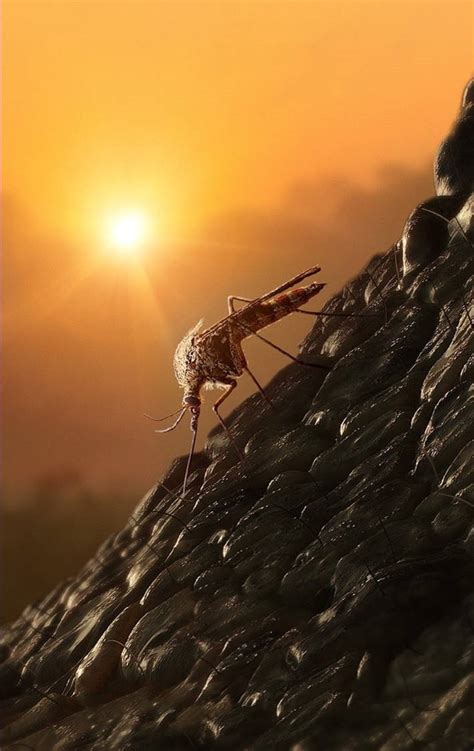 Jurassic World Dominion Textless Poster Hd By Rohitsehrawat On Deviantart