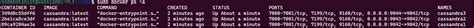 Running Apache Cassandra® Single And Multi Node Clusters On Docker With