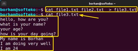 The “cat” Command In Linux 10 Practical Examples
