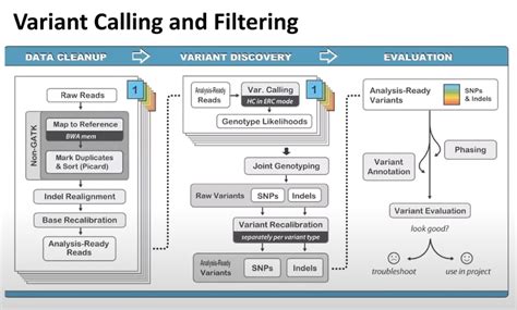 Ngs Variant Calling And Annotation By Peng Chien Wei Medium