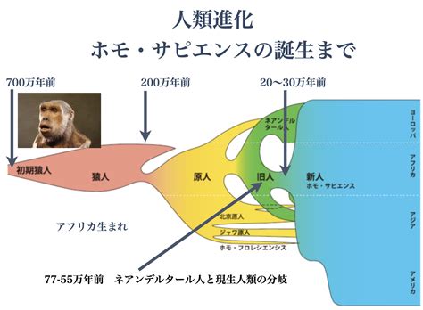 我孫子サイエンスカフェ ホームページ