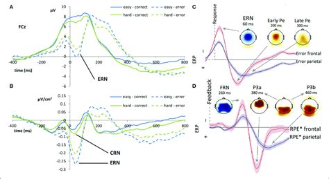 Time Course Of The Event Related Potentials Erp Related To Error Download Scientific