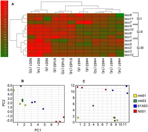 Multivariate Analysis Of Expression Profiles Cluster Analysis Of Genes Download Scientific