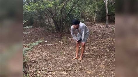 Luan Santana Compartilha Sucuri No Pantanal Vídeo Passeando Em