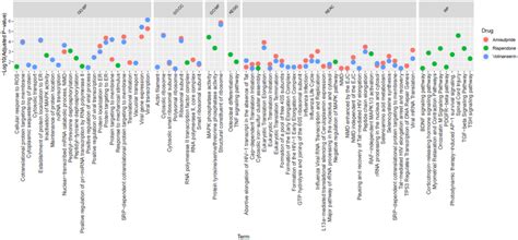 Plot Of Gene Ontology GO Terms And Pathways Statistically Download Scientific Diagram