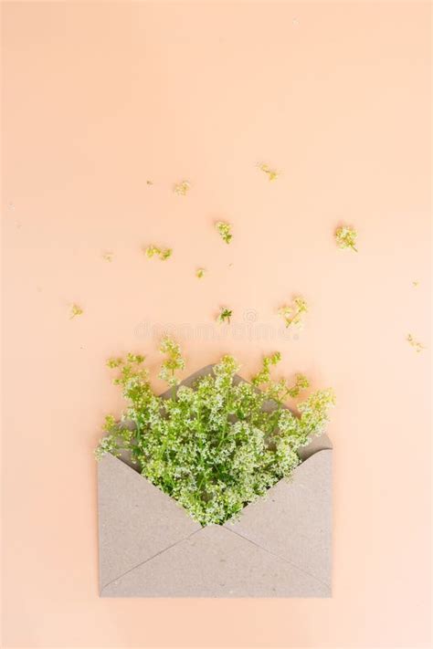 Vertical Format Of Photo Envelope Full Of Tiny White Flowers Concept Stock Image Image Of