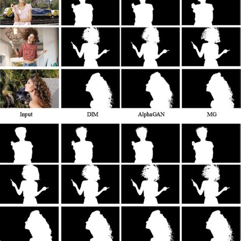 Visual Comparisons With Trimap Fake On Apm1200 Download Scientific Diagram