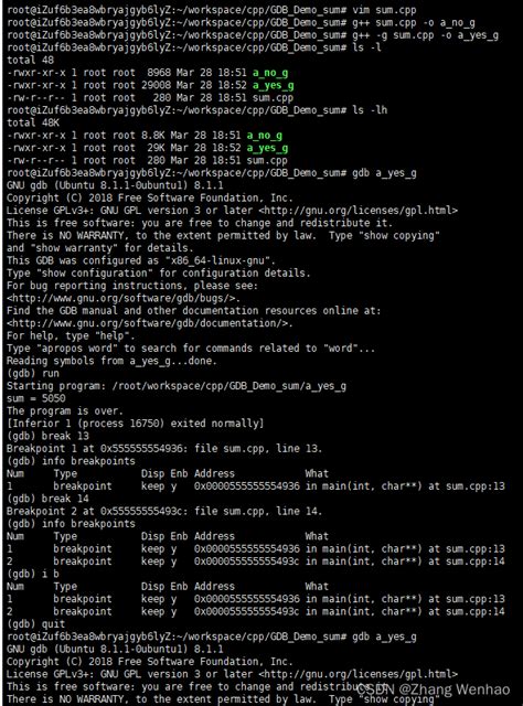 Gdb调试器gnu Debugger Csdn博客