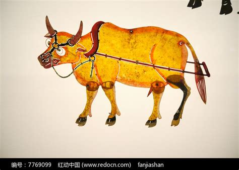 耕牛驴皮影高清图片下载 红动中国