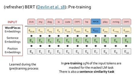 Fine Tuning Bert For Question Answering