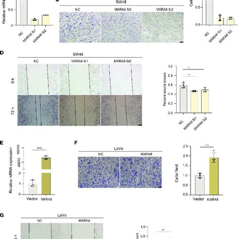 Biological Function And Pathway Annotation A Heatmap Of The
