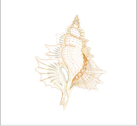 Big Sea Shell Dwg Cad Block Free Download