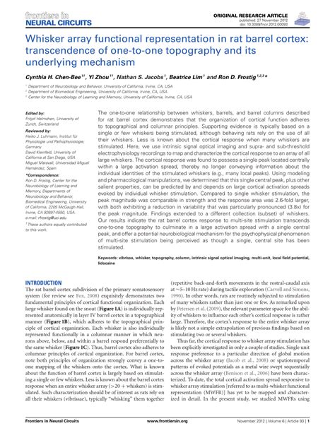 Pdf Whisker Array Functional Representation In Rat Barrel Cortextranscendence Of One To One
