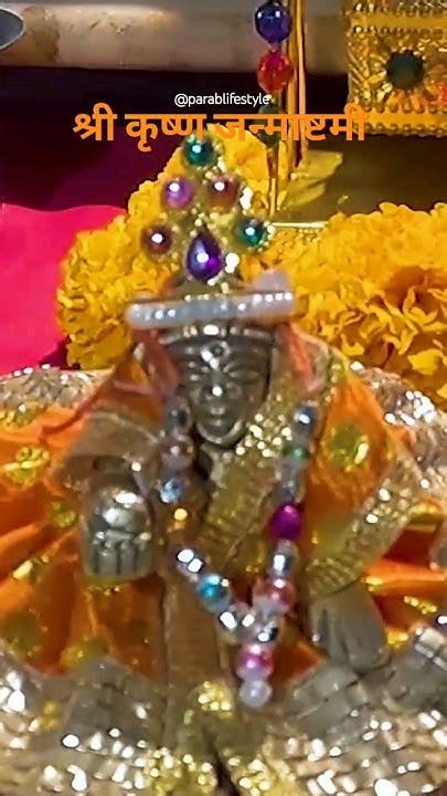 कृष्ण जन्मदिवस २०२४ कृष्ण जन्माष्टमी साजरी कशी करावी Shreekrishna